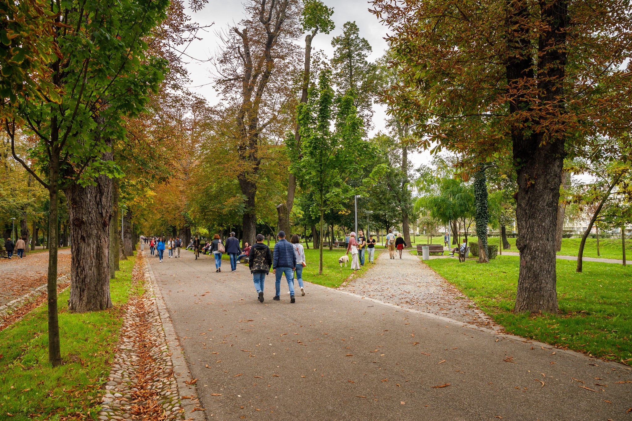 Urmează zile reci și ploioase la Cluj. Când se mai încălzește vremea?