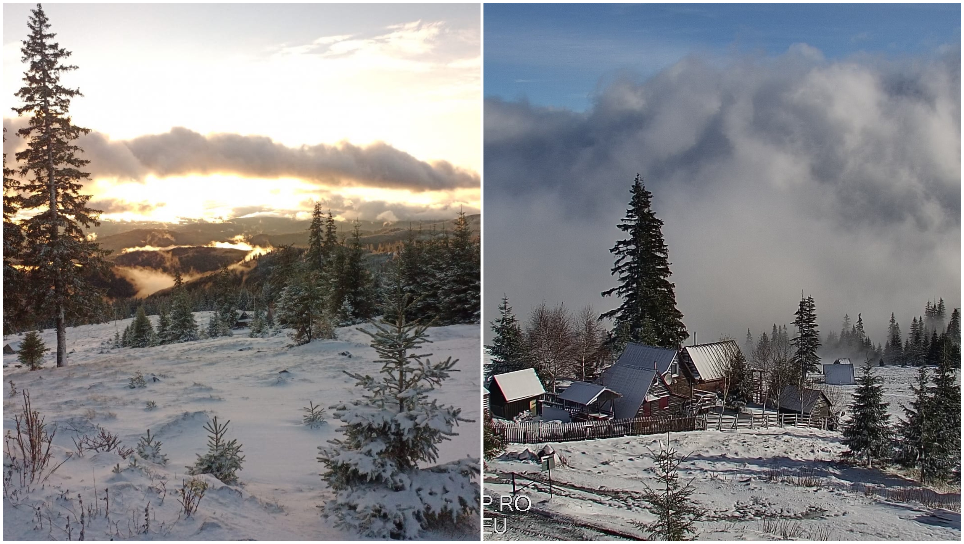 Zăpadă „ca în povești” la Vlădeasa, cota 1.400. Peisaje de iarnă, la ...