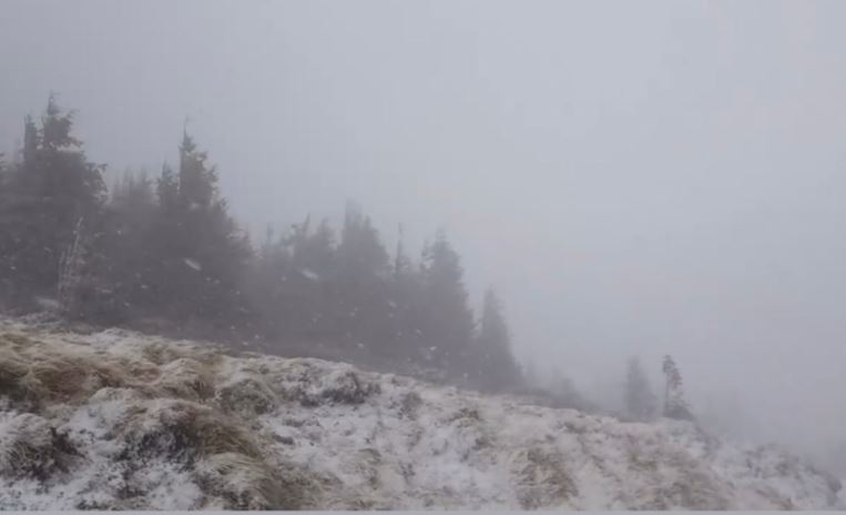 Imagini impresionante din vârf de munte! Ninsoare viscolită la Vlădeasa ...