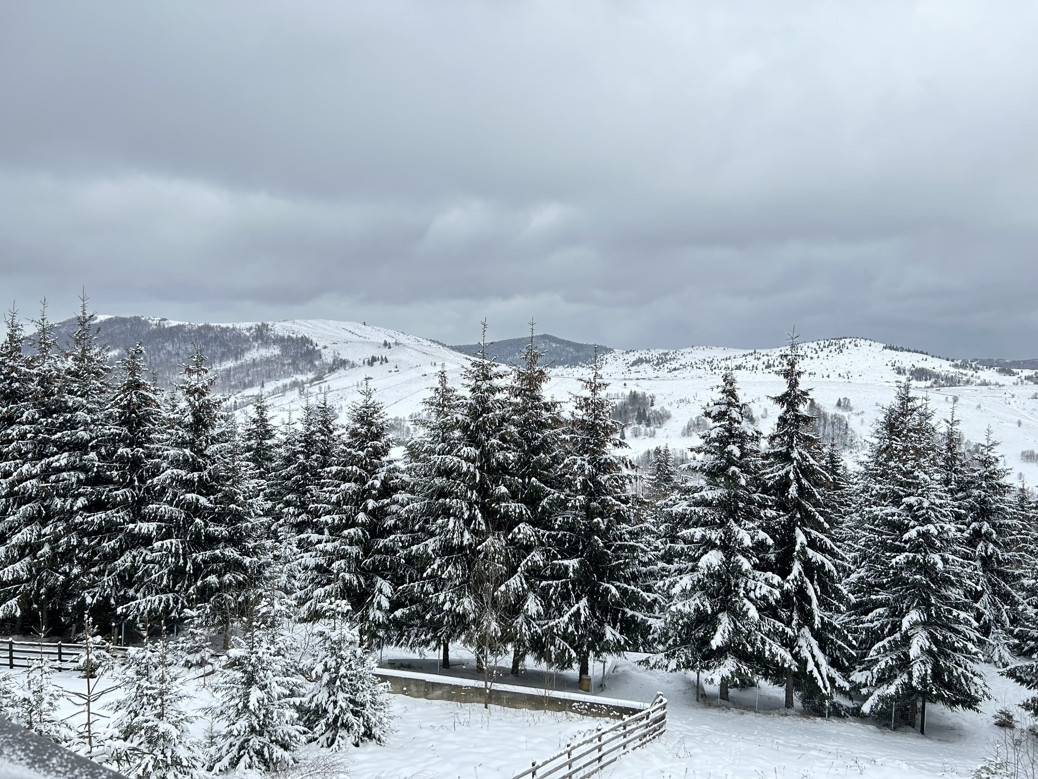 Ce să faci iarna în Cluj? O drumeție la Muntele Băișorii e perfectă ...
