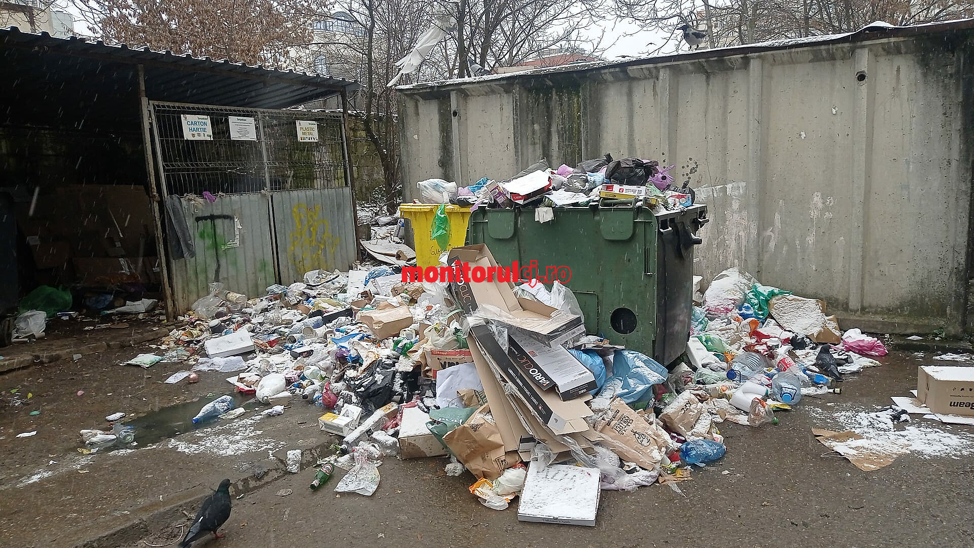 Probleme cu ridicarea gunoiului în Cluj. Alin Tișe: „Trebuie să avem ...