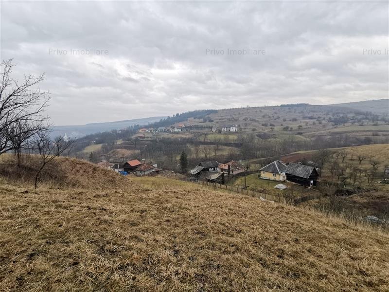 Estuar de 28 – 30 de milioane de ani, descoperit pe teritoriul ...