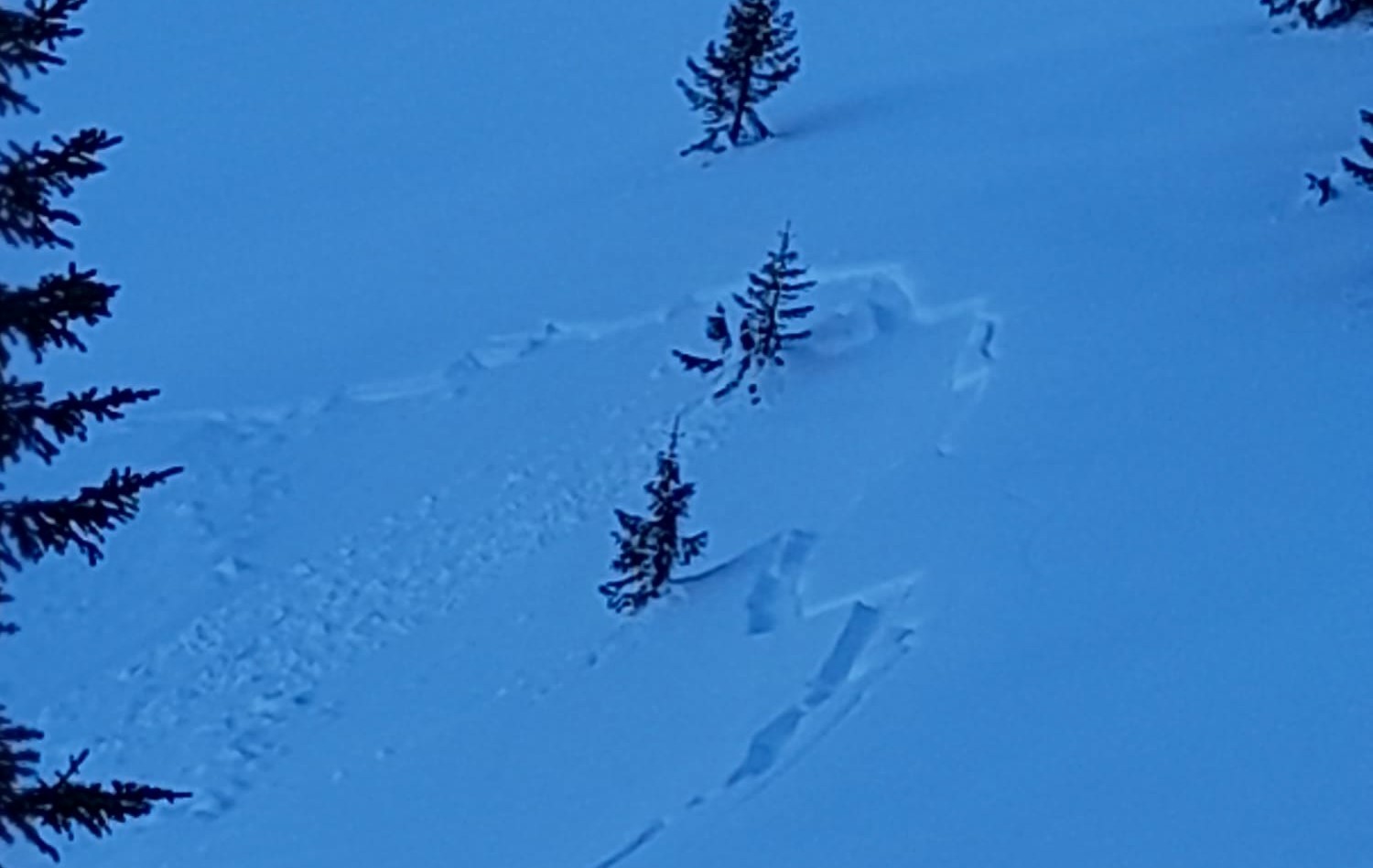 Risc însemnat de AVALANȘĂ la Vlădeasa. Salvamont: „Siguranța e pe ...