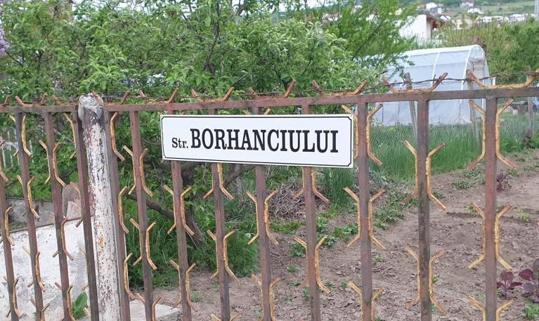 Localnicii din Borhanci, speriați de turmele de mistreți „Nu mai ieşim ...