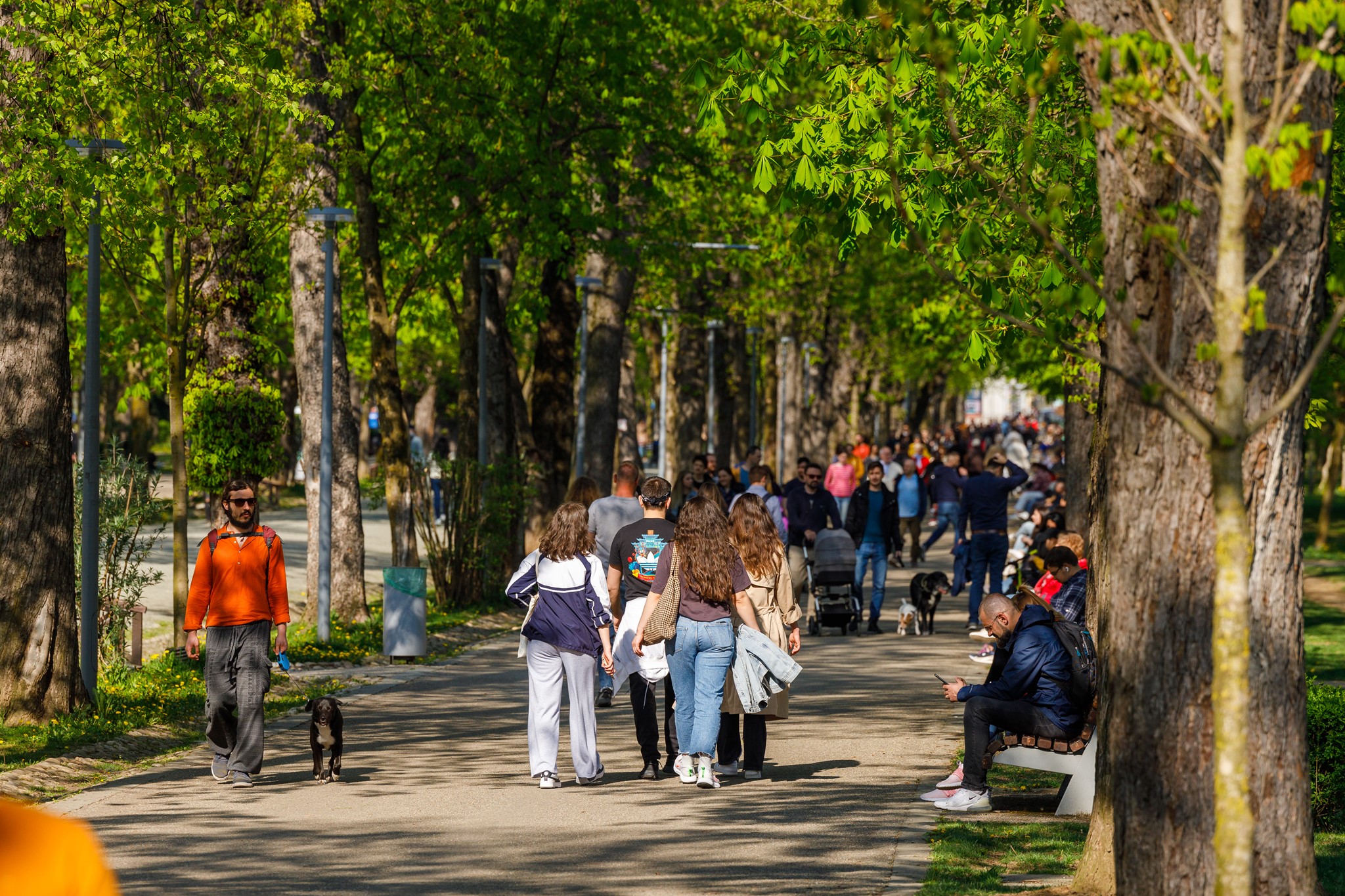 Prognoză meteo pentru minivacanța de 1 mai. Când se anunță vreme ...