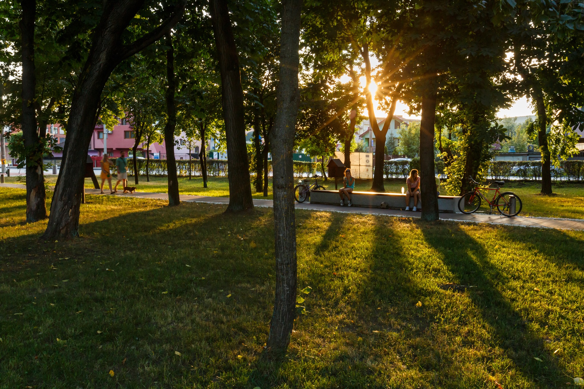 20 de hectare de spații verzi în toate cartierele Clujului. VEZI ce ...