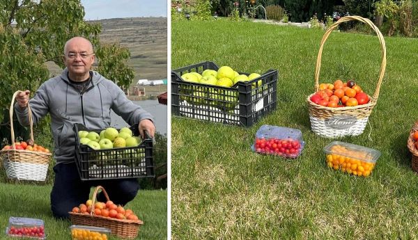 Emil Boc și-a adunat recolta din grădina cu răsaduri din piață: „După ...