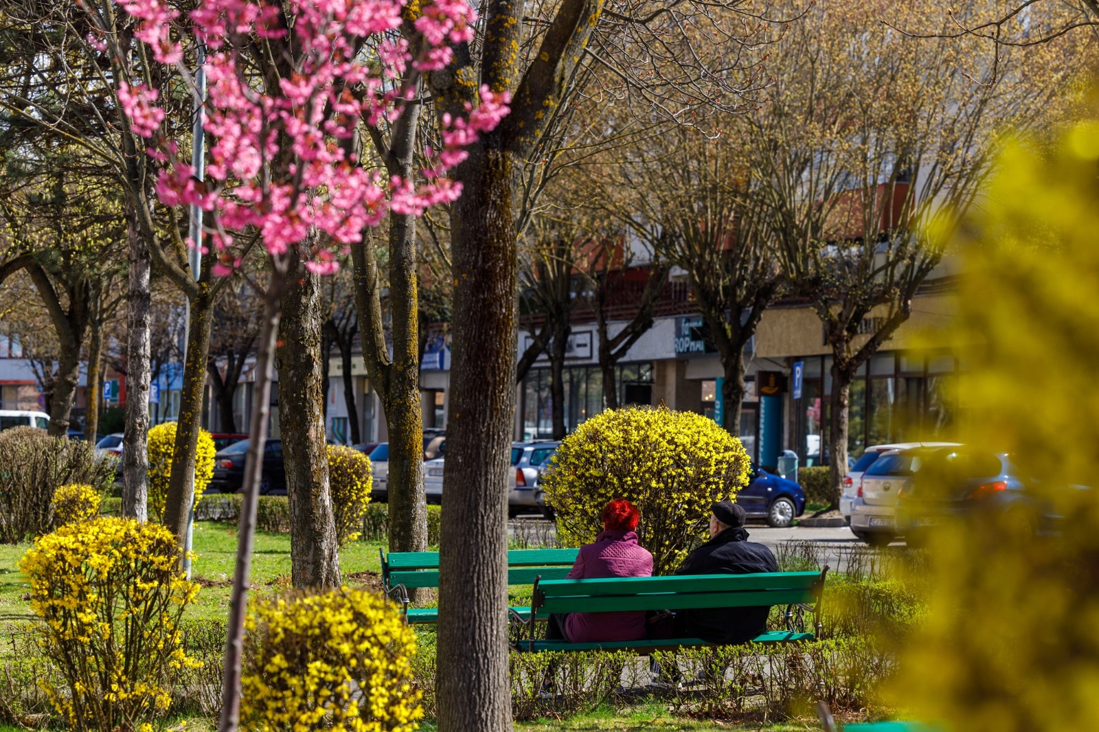Vreme schimbătoare, în martie, la Cluj. De la zile cu temperaturi ca ...