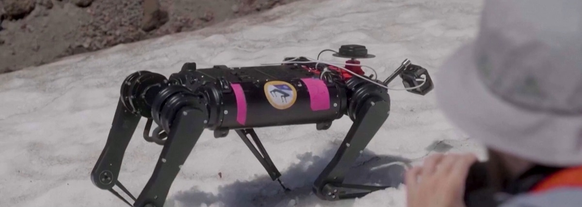 Câine robot cu mitralieră prezentat de armata chineză. Prietenul omului ...