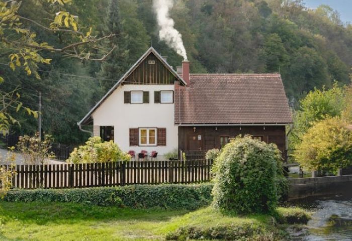 Lege pentru românii care au copaci în curte. Vecinul este obligat la plată.