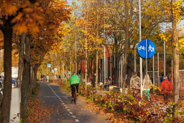 Imagini superbe. Toamna e „nebun de frumoasă” la Cluj. GALERIE FOTO