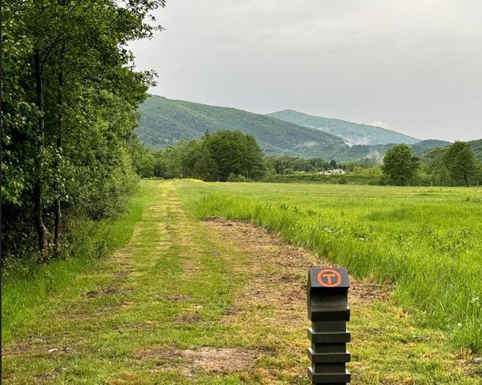 Traseul Via Transilvanica, experiență unică pentru 2025 recomandată de ...