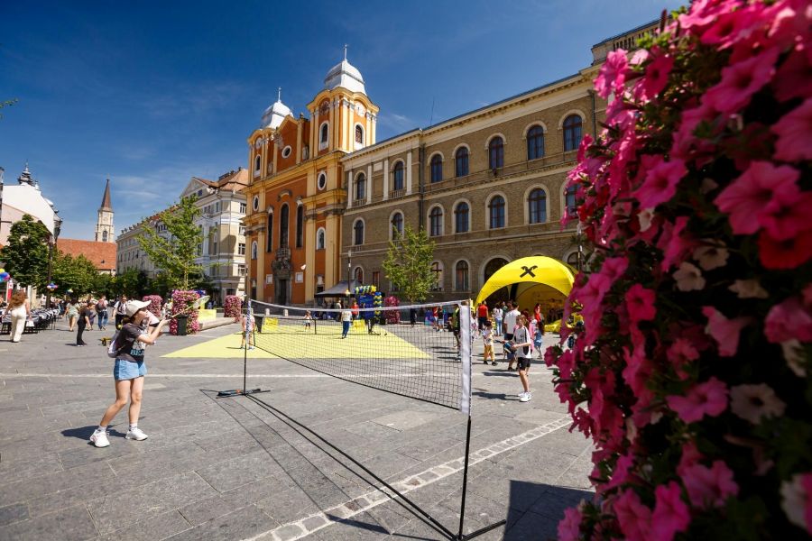 8,8 mil. euro, bani din bugetul local pentru susținerea ONG-urilor ...