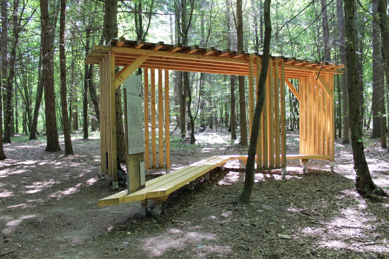 Amenajarea pădurii-parc Făget, recunoaștere internațională pentru bune ...