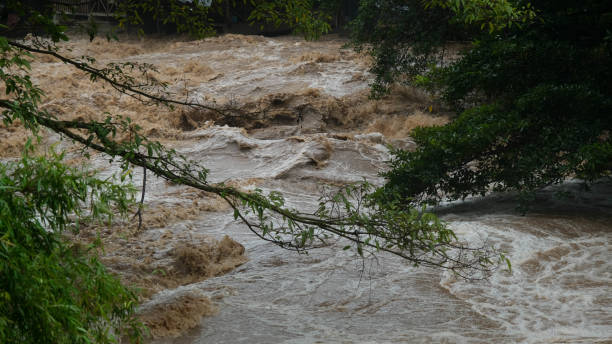 Cod galben pe râul Someșul Mare din Cluj! Posibile depășiri ale cotelor ...