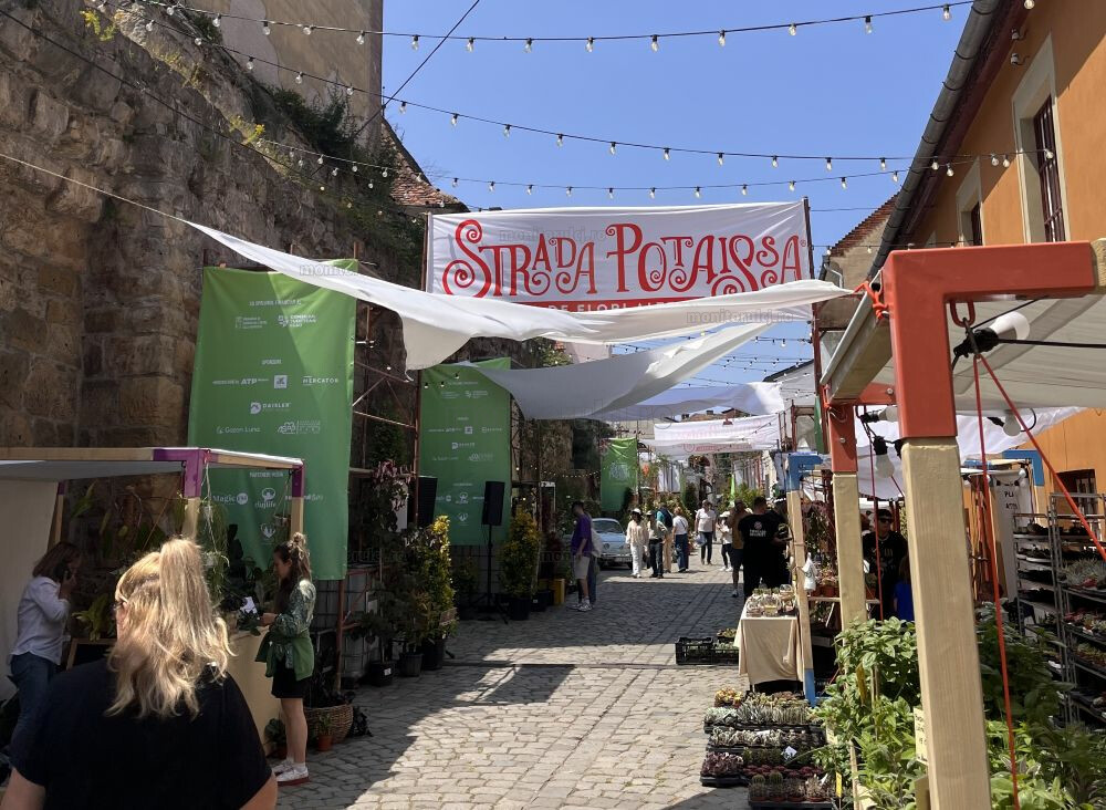 Strada Potaissa, mai mult decât un eveniment. Realitatea din spatele ...