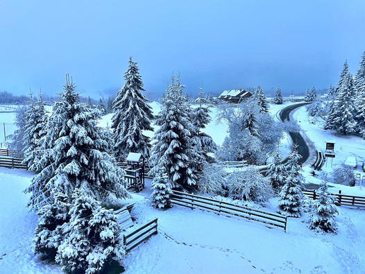 Iarnă în toată regula, la Mărișel! Zăpada a creat un peisaj spectaculos ...