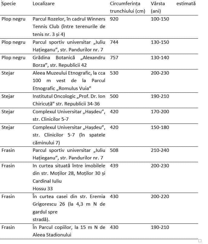 Cel mai bătrân copac din Cluj-Napoca are până la 240 de ani și se află ...