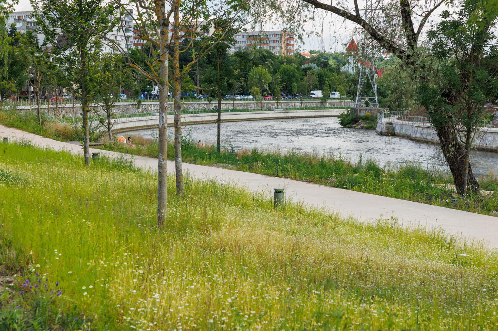 Ca pe litoral, pe malul Someșului! Clujenii se vor putea bucura de o ...