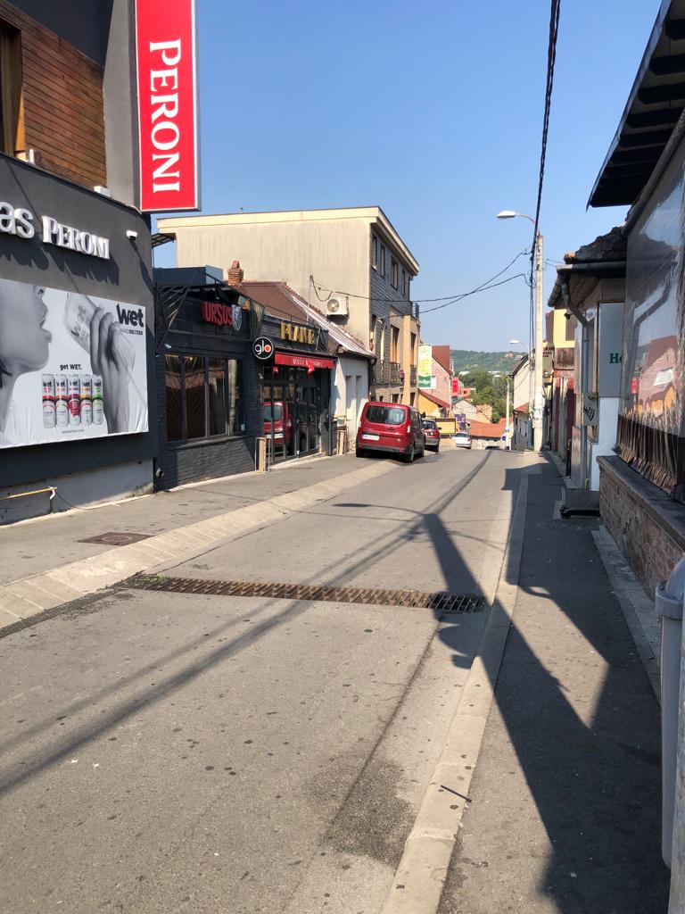 Strada Piezișă, în culori! 35.000 de dolari pentru o pictură de mari ...