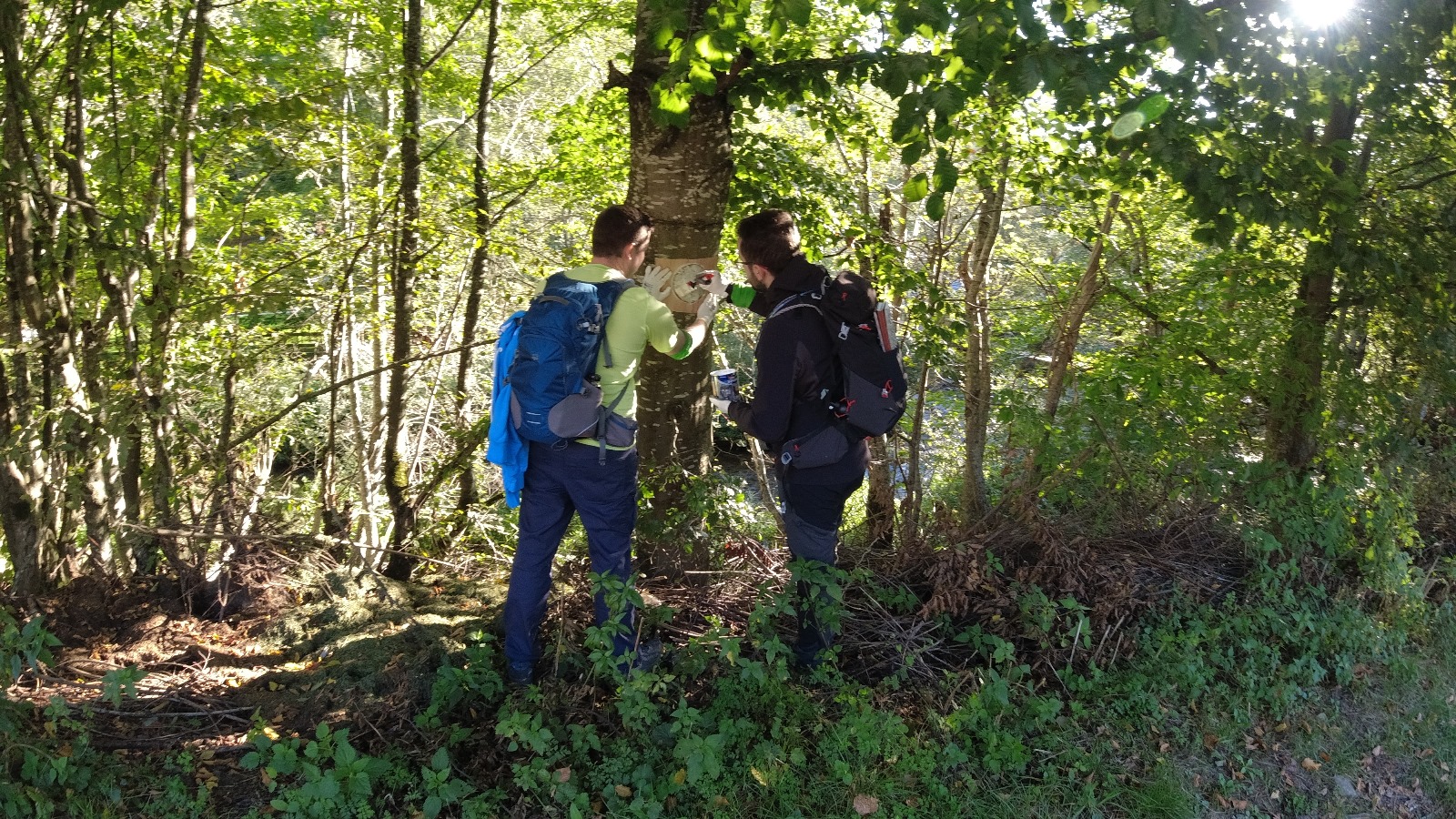 Un nou traseu turistic extrem de spectaculos, prin cele mai frumoase ...