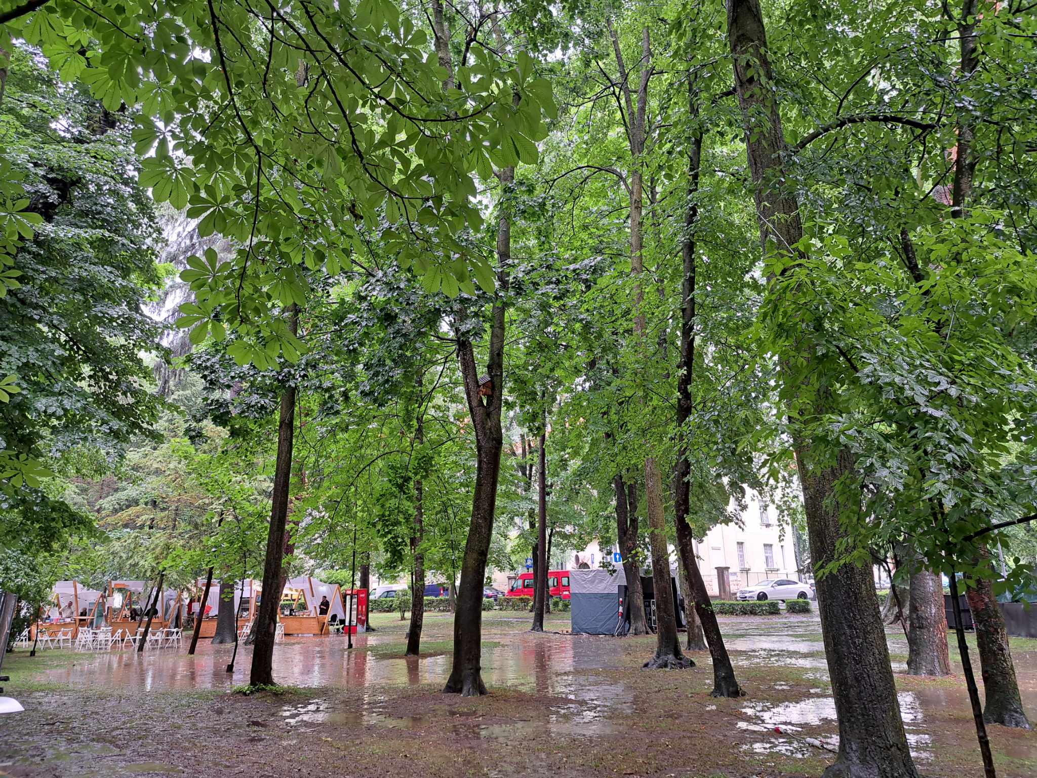 Parcul Central din Cluj-Napoca, inundat în urma ploii de vară. Orașul ...