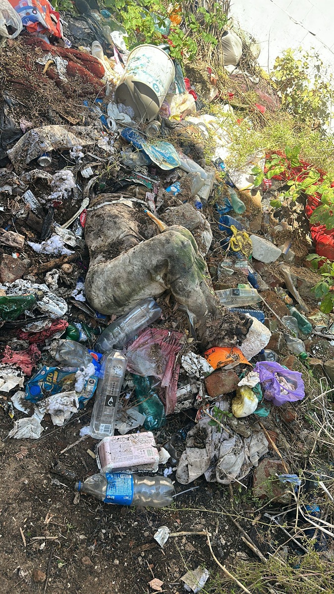 Manechinul pervers și goana după un cadavru imaginar: o jucărie pentru ...