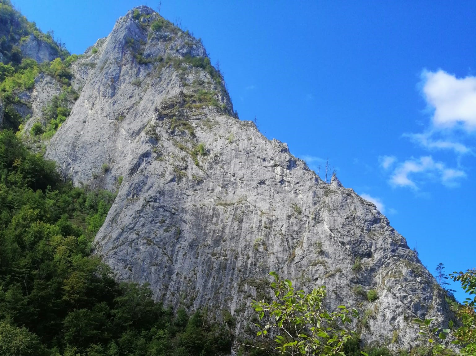 Cheile Râmețului, „o gură de rai” situată în Munții Trascăului. FOTO