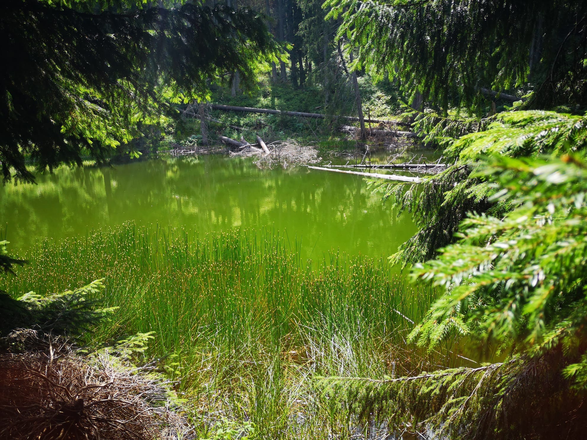 Destinație de weekend. Lacul Colibița sau „marea de la munte”, un loc ...